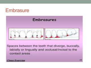 Anatomical land marks of a tooth | PPTX