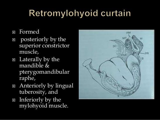 Anatomical landmarks of denture bearing area of.pptx final
