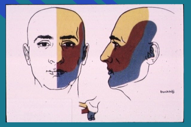 Anatomical landmarks of local anesthesia / oral surgery courses | PPT ...