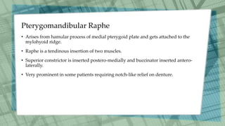 Anatomical landmarks of mandible | PDF