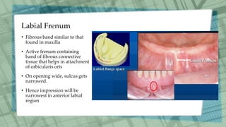 Anatomical landmarks of mandible | PDF