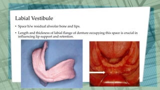 Anatomical landmarks of mandible | PDF