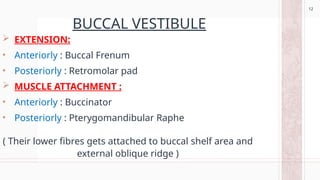 ANATOMICAL LANDMARKS OF MANDIBLE prostho.pptx