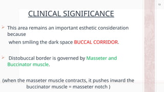 ANATOMICAL LANDMARKS OF MANDIBLE prostho.pptx