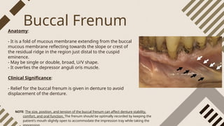 Anatomical Landmarks of Mandibular Arch..pptx