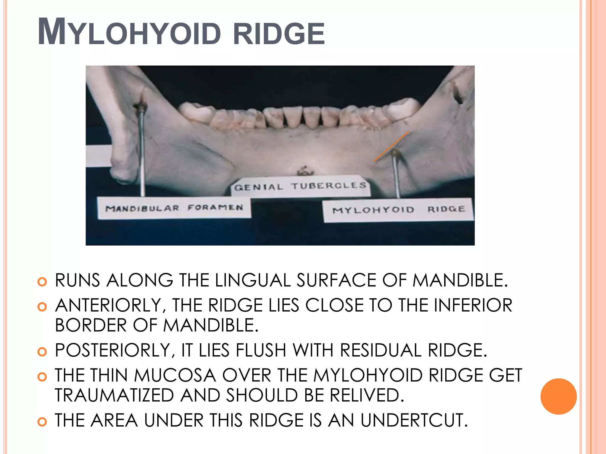 Anatomical landmarks of mandibule | PPTX