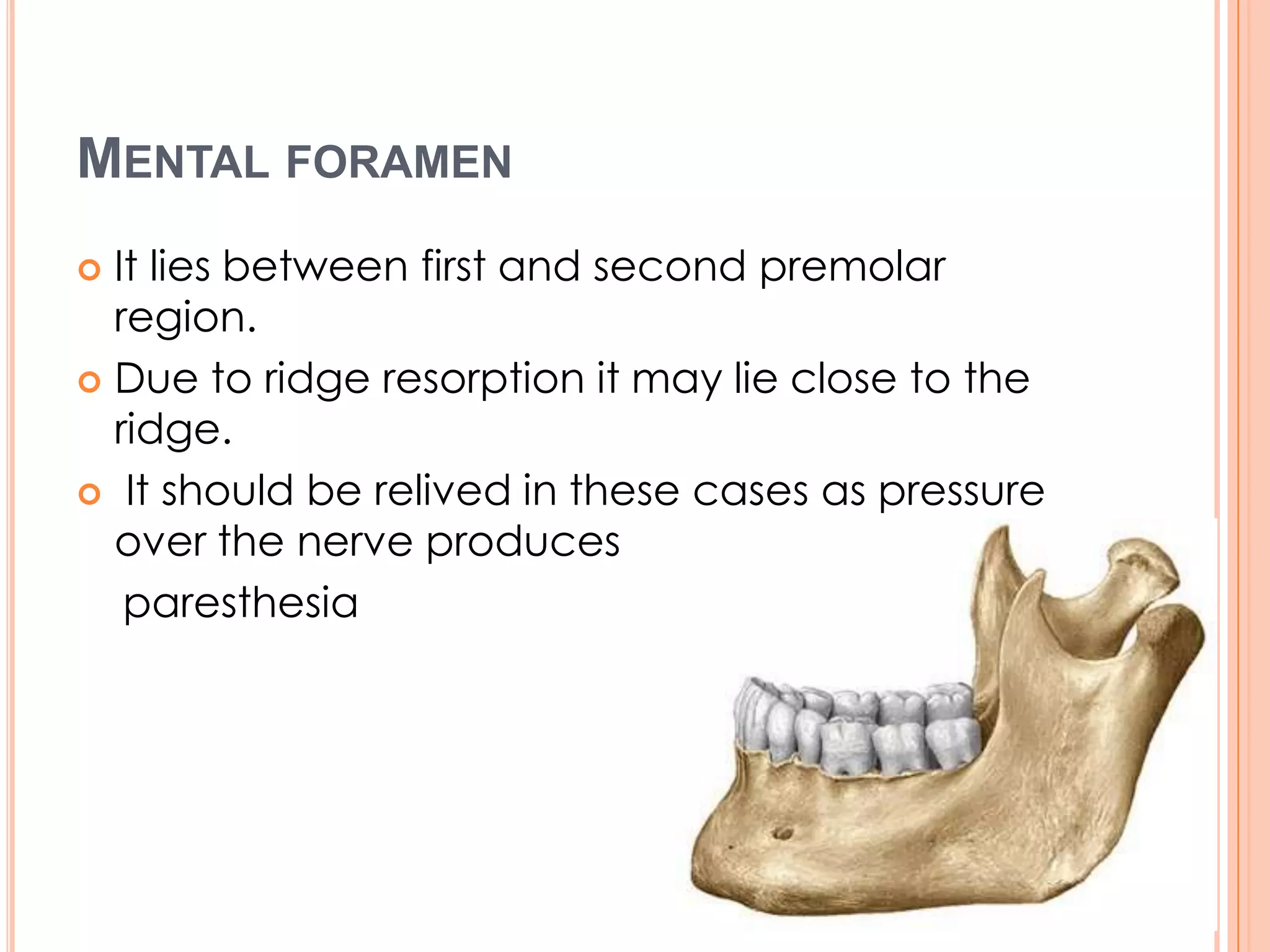 Anatomical landmarks of mandibule | PPTX