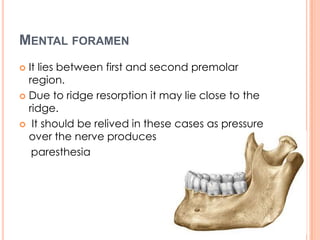 Anatomical landmarks of mandibule | PPTX
