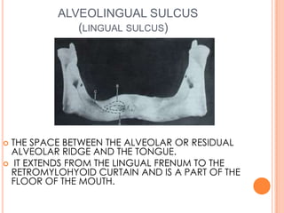 Anatomical landmarks of mandibule | PPTX