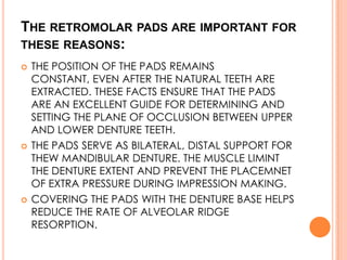 Anatomical landmarks of mandibule | PPTX