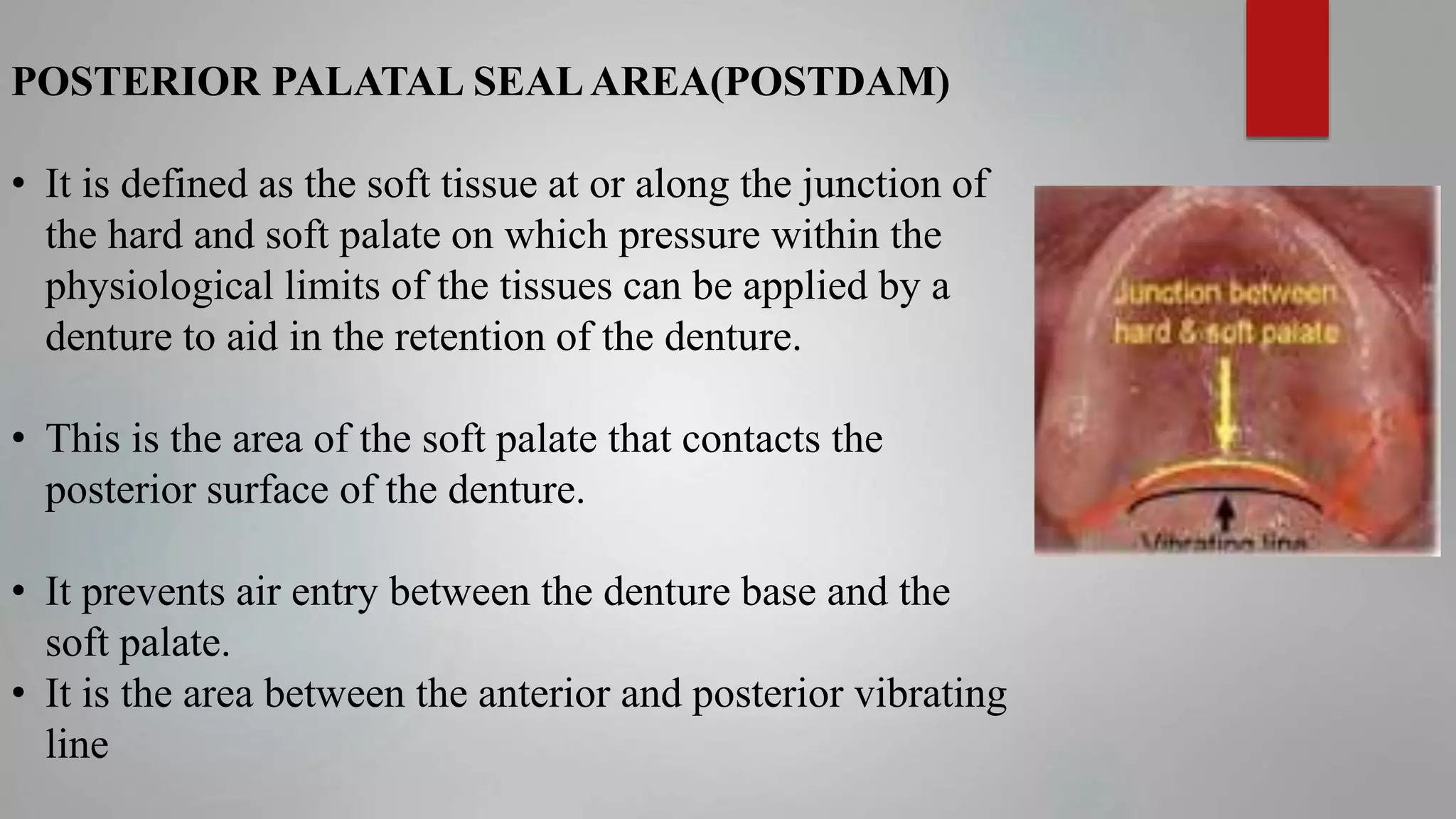Anatomical landmarks of maxila | PPTX
