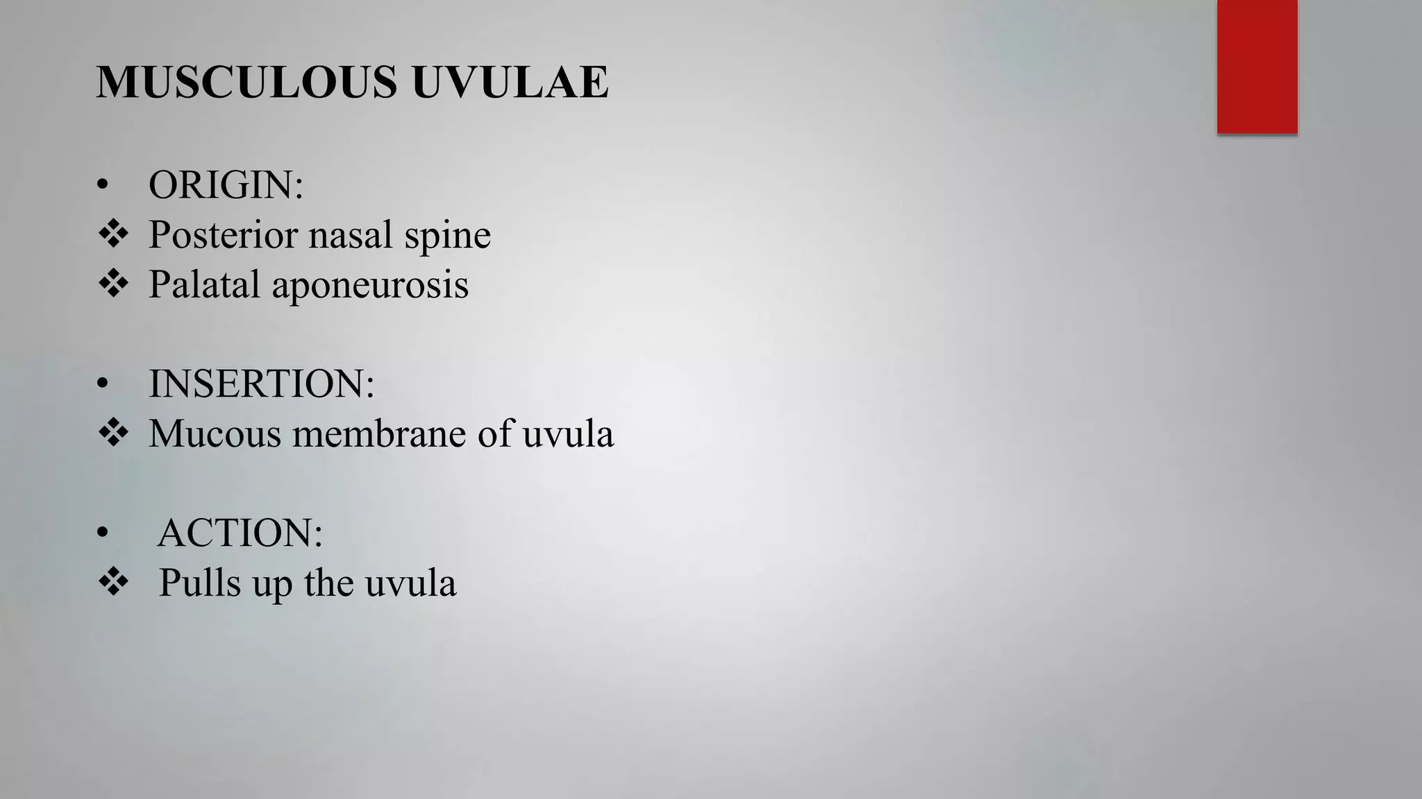 Anatomical landmarks of maxila | PPTX