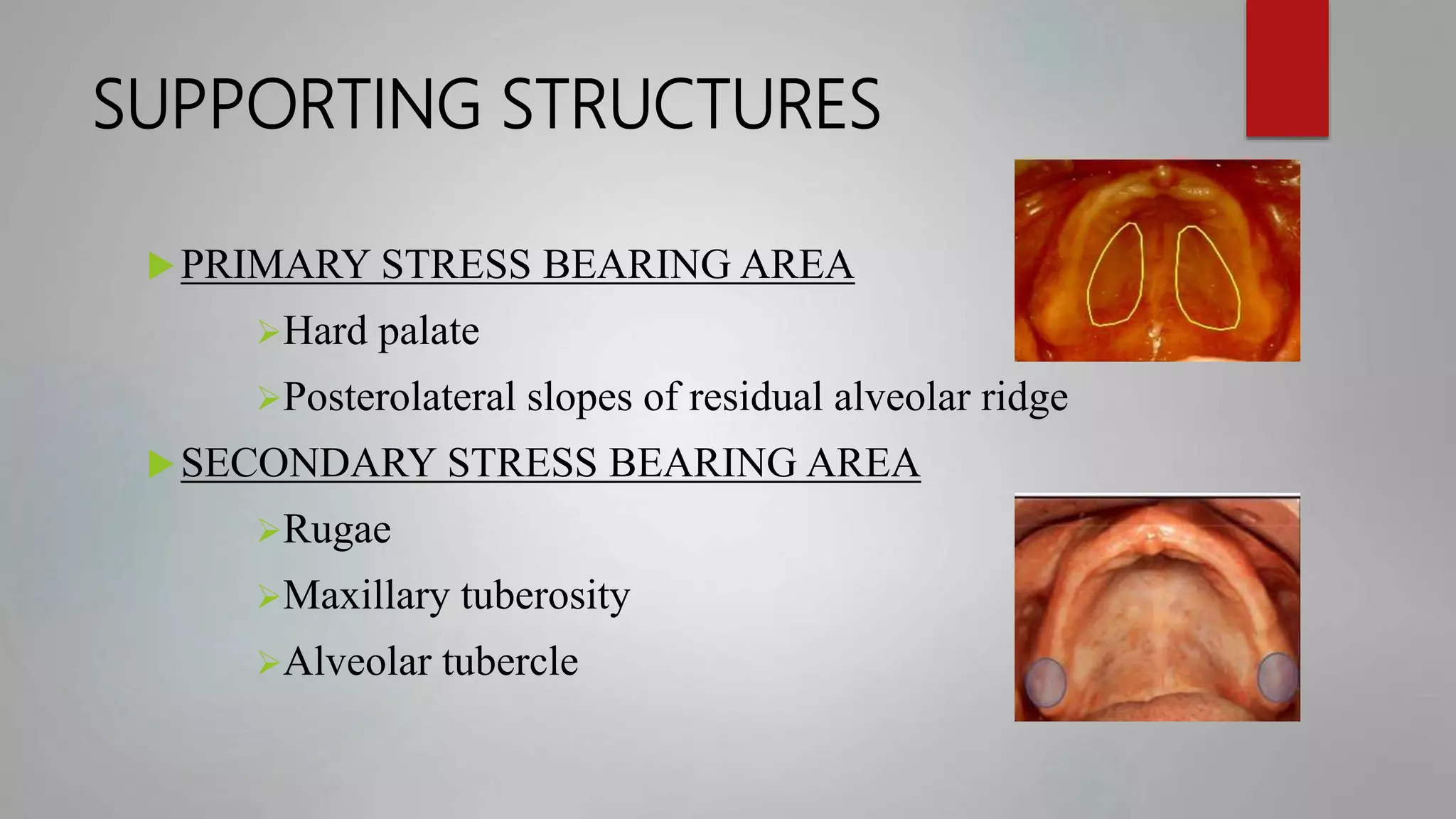 Anatomical landmarks of maxila | PPTX