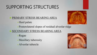 Anatomical landmarks of maxila | PPTX