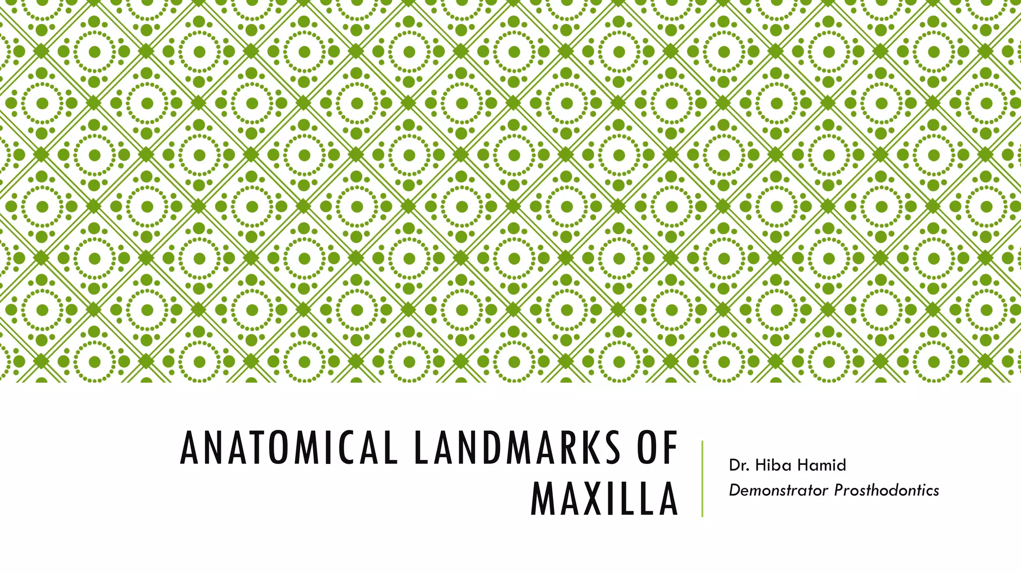 Anatomical landmarks of maxilla | PDF