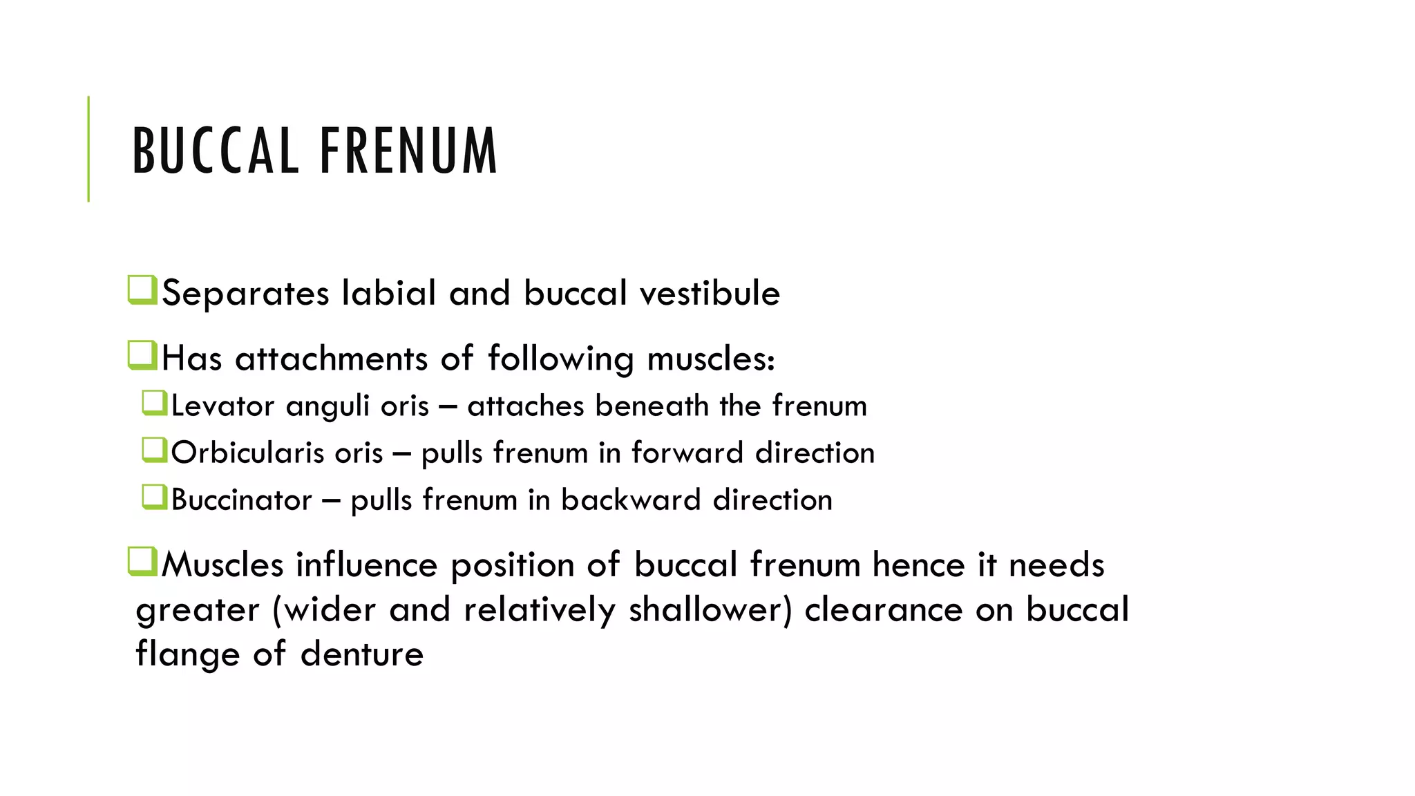Anatomical landmarks of maxilla | PDF