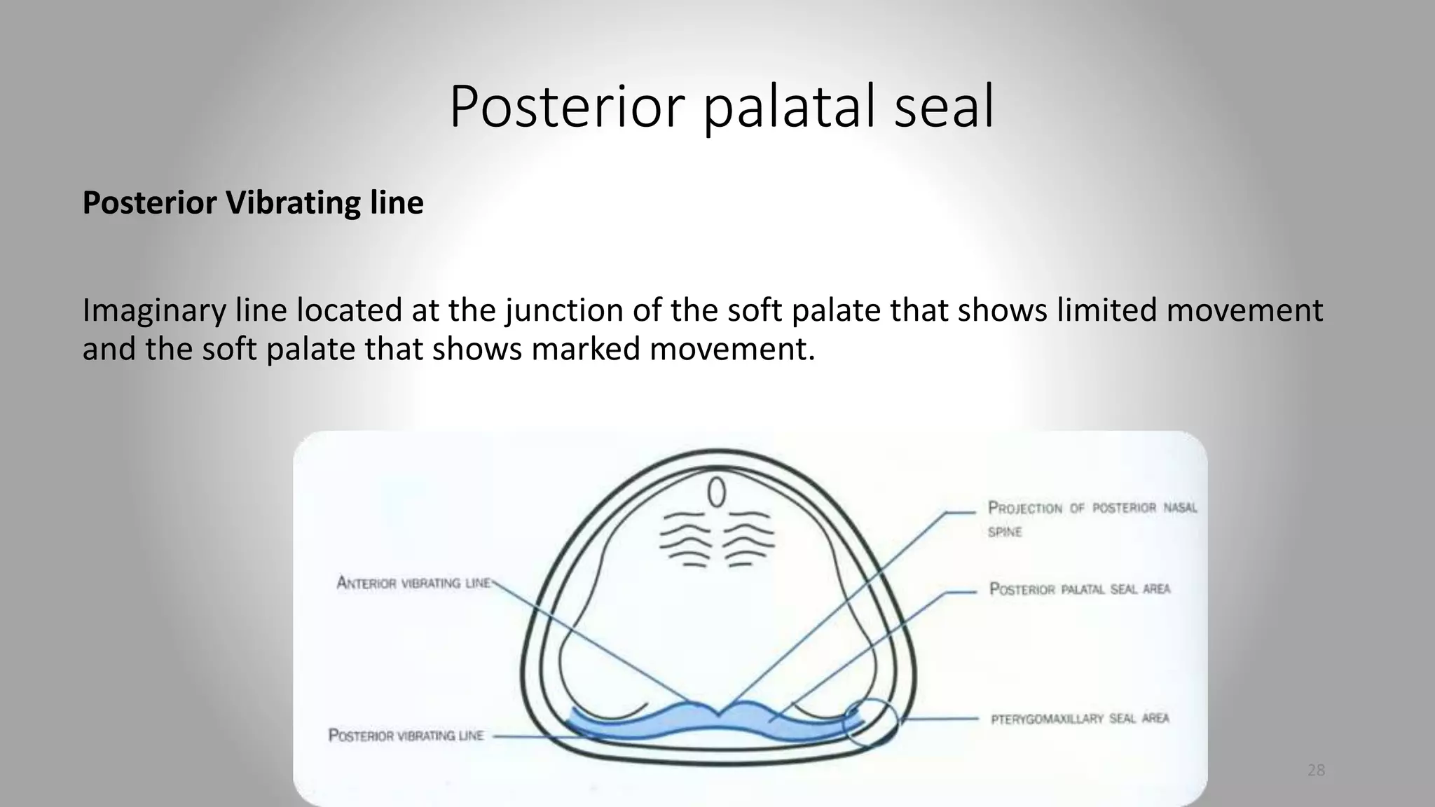 Anatomical landmarks of maxilla | PPTX