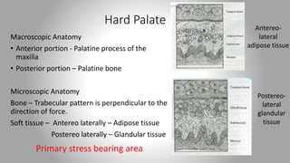 Anatomical landmarks of maxilla | PPTX