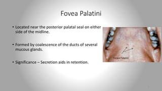 Anatomical landmarks of maxilla | PPTX
