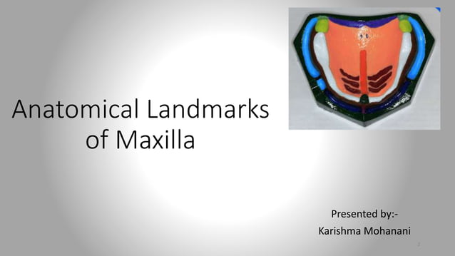Anatomical landmarks of maxilla | PPT