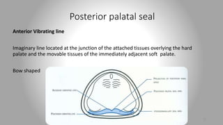 Anatomical landmarks of maxilla | PPTX