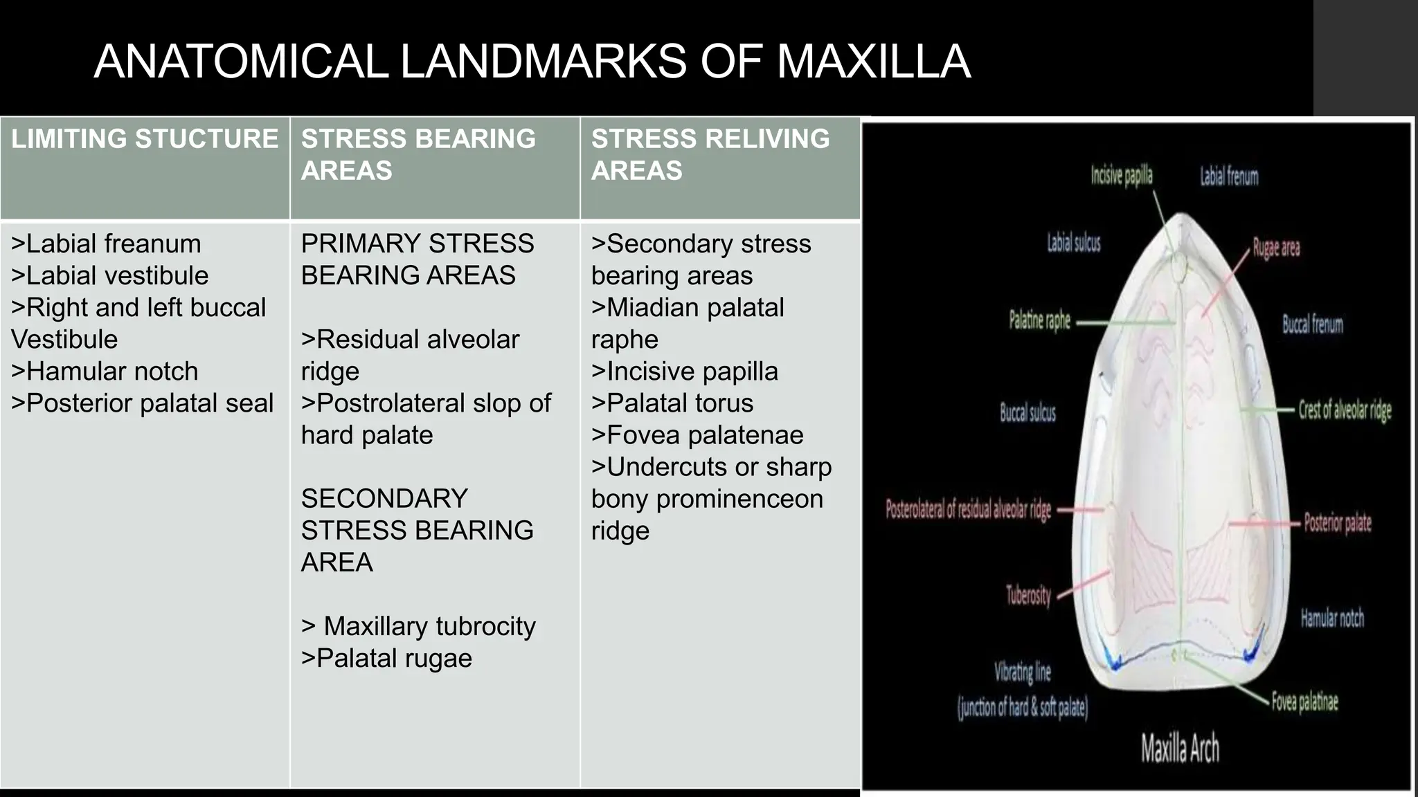 ANATOMICAL LANDMARKS OF MAXILLA AND MANDIBLE.pptx