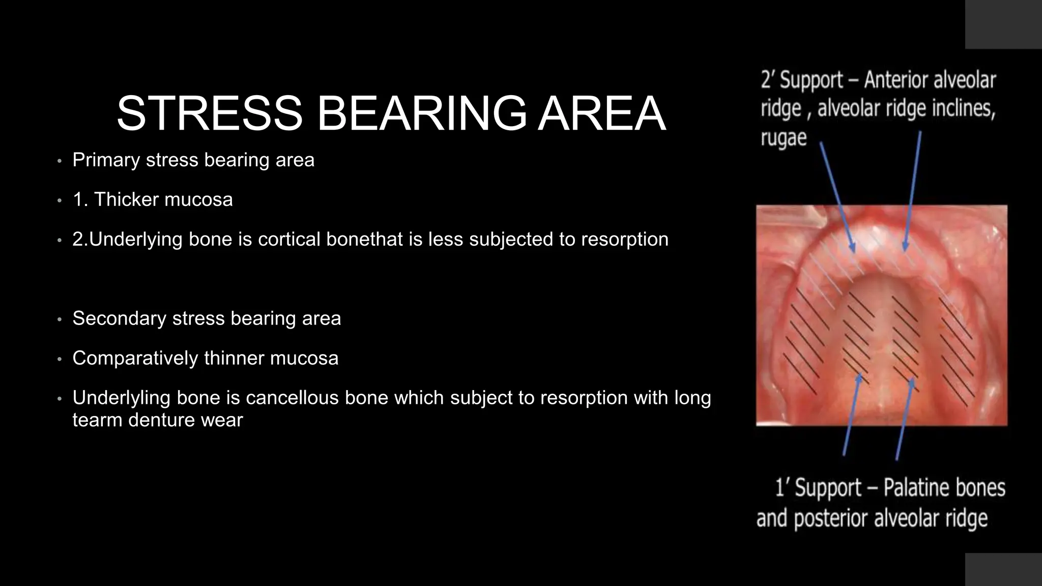 ANATOMICAL LANDMARKS OF MAXILLA AND MANDIBLE.pptx
