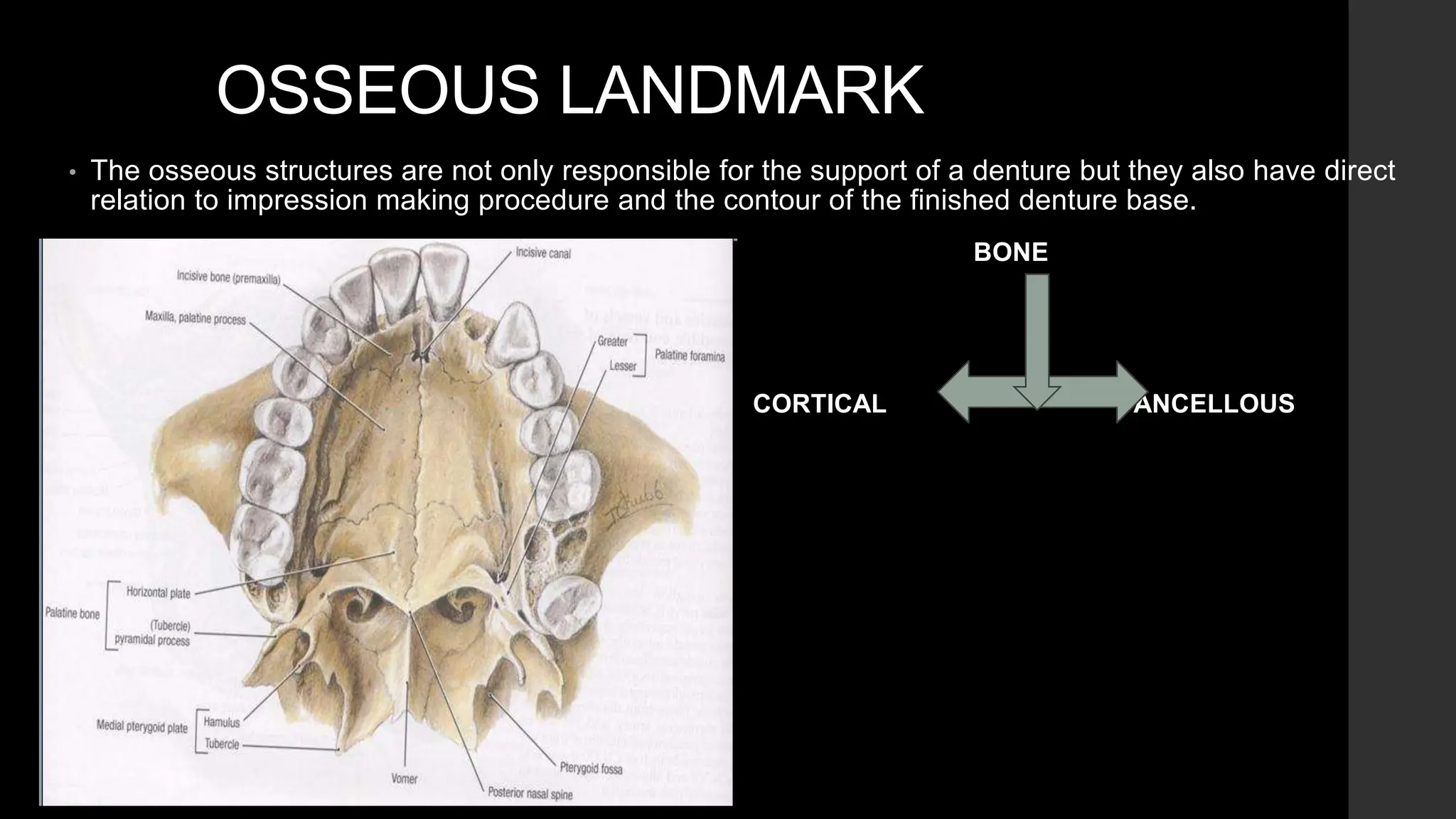 ANATOMICAL LANDMARKS OF MAXILLA AND MANDIBLE.pptx