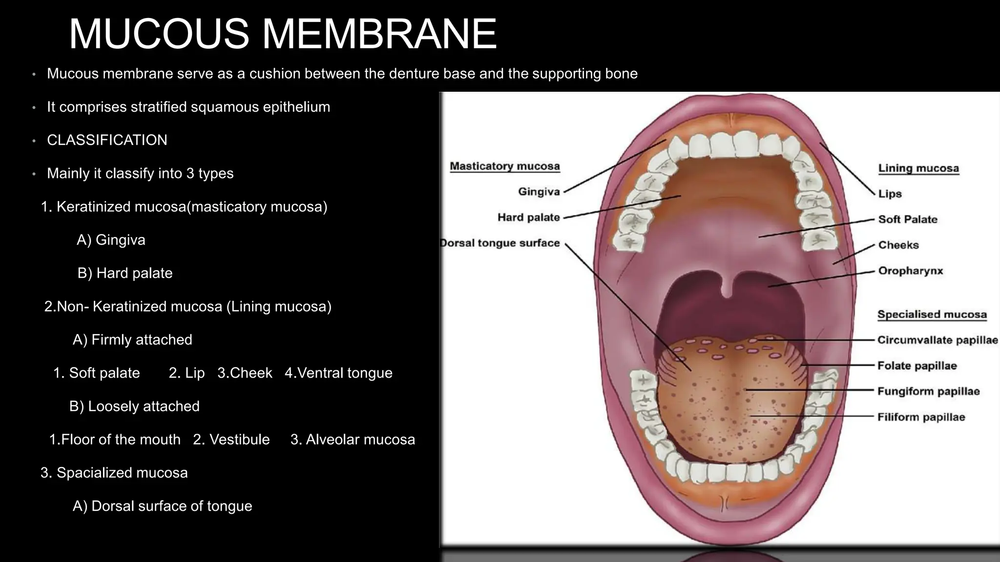 ANATOMICAL LANDMARKS OF MAXILLA AND MANDIBLE.pptx