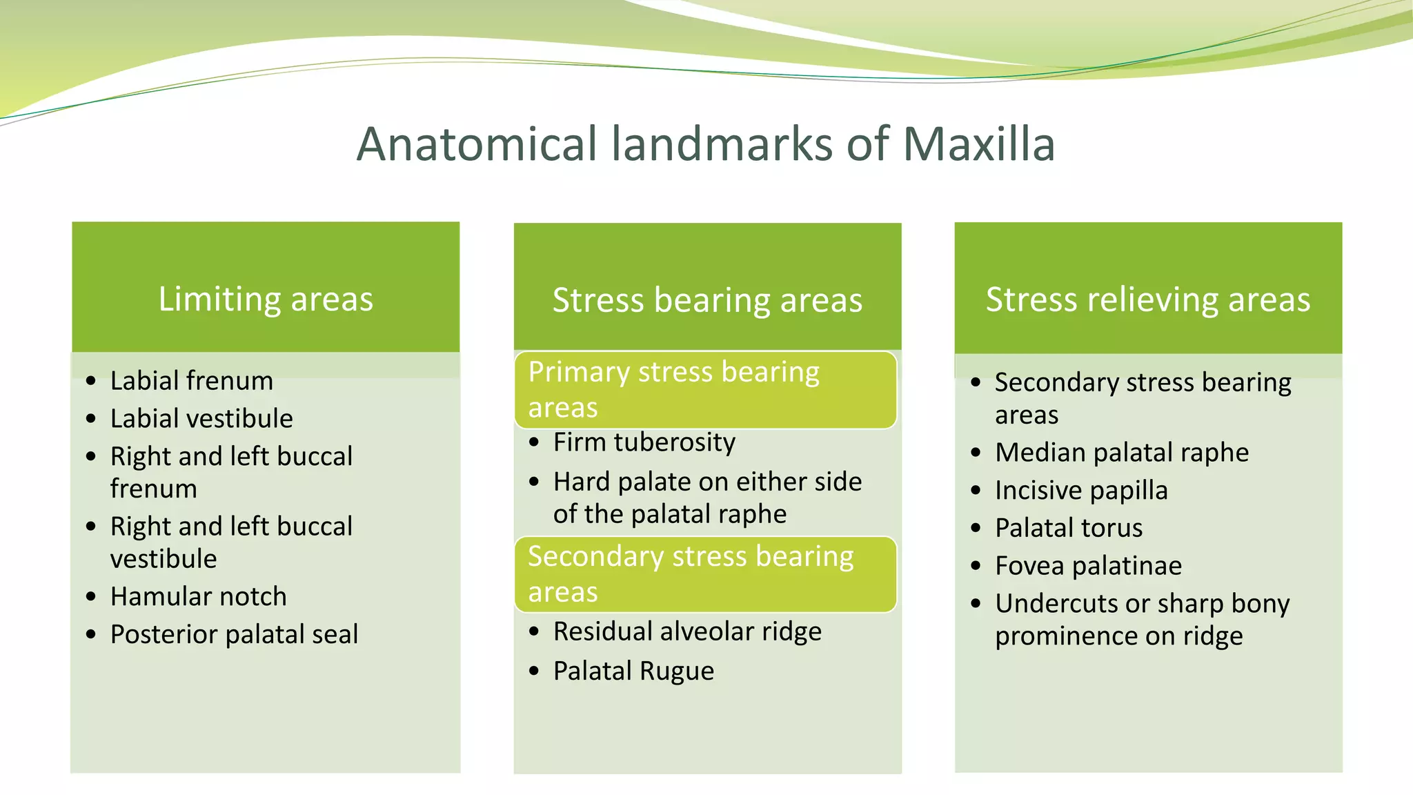 Anatomical landmarks of maxilla and mandible [autosaved] | PPTX