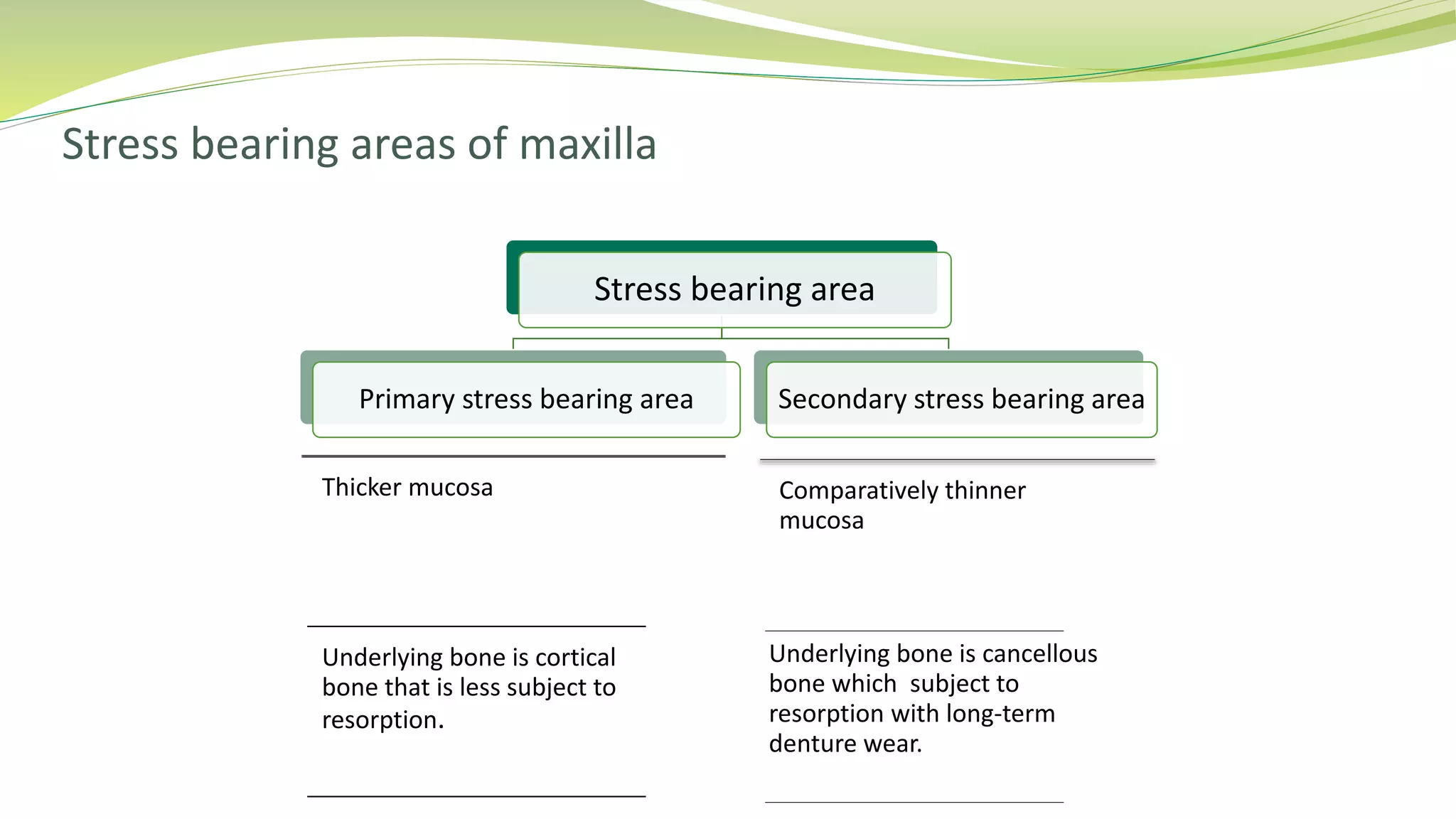 Anatomical landmarks of maxilla and mandible [autosaved] | PPTX