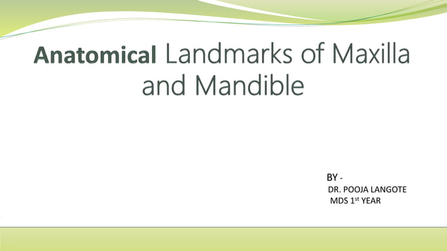 Anatomical landmarks of maxilla and mandible [autosaved] | PPTX | Ear ...