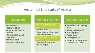 Anatomical landmarks of maxilla and mandible [autosaved] | PPTX