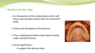 Anatomical landmarks of maxilla and mandible [autosaved] | PPTX