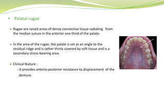 Anatomical landmarks of maxilla and mandible [autosaved] | PPTX