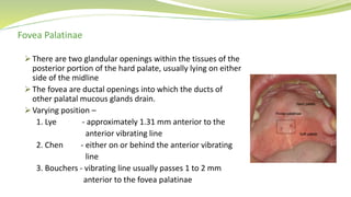 Anatomical landmarks of maxilla and mandible [autosaved] | PPTX