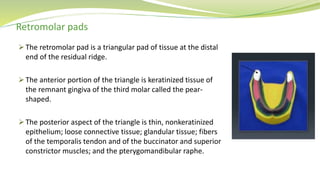 Anatomical landmarks of maxilla and mandible [autosaved] | PPTX