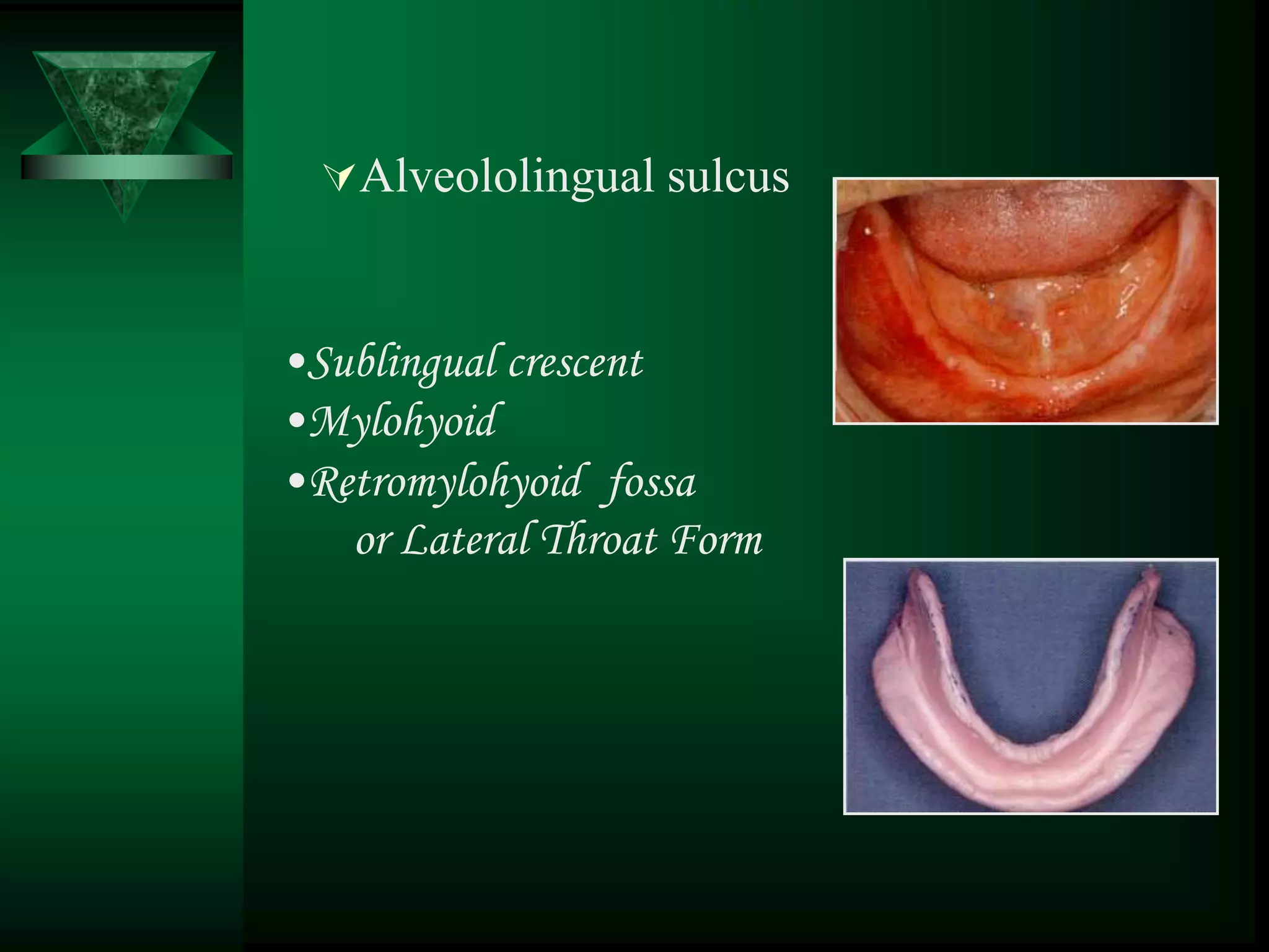 Anatomical Landmarks Of Maxillary And Mandibular Arch.ppt