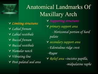 Anatomical Landmarks Of Maxillary And Mandibular Arch.ppt
