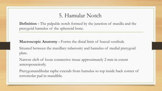 Anatomical landmarks of maxillary arch.pptx