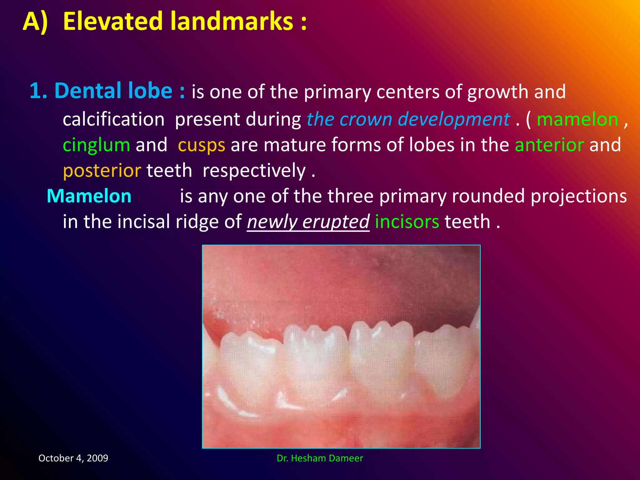 Anatomical landmarks of the crown | PPTX