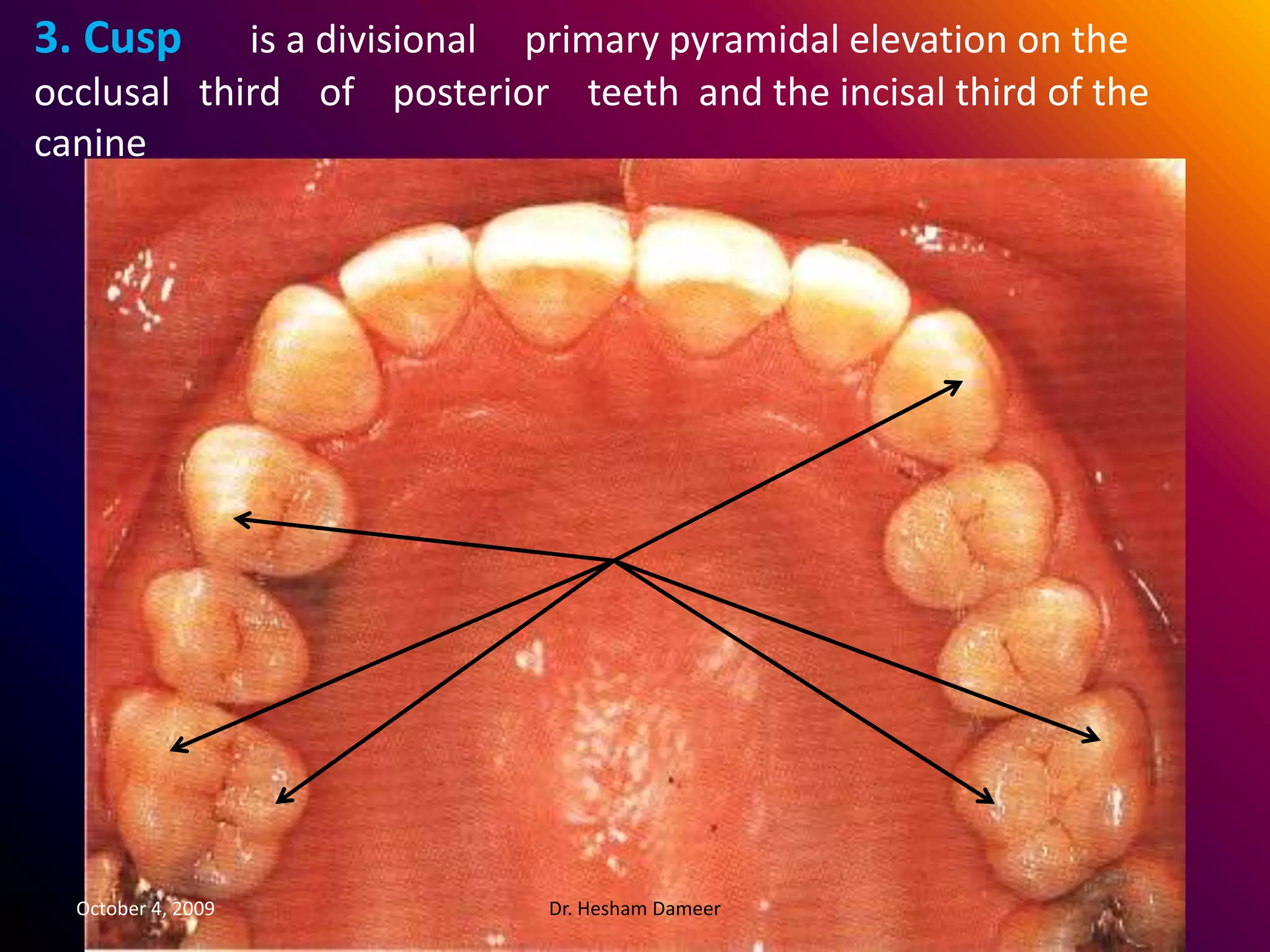 Anatomical landmarks of the crown | PPTX
