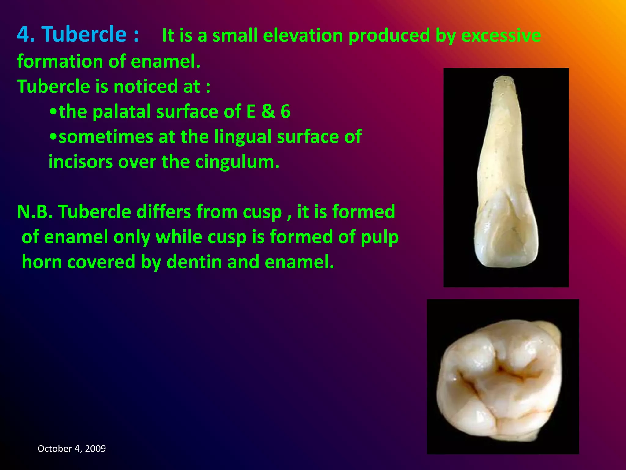 Anatomical landmarks of the crown | PPTX
