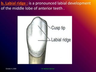 Anatomical landmarks of the crown | PPTX