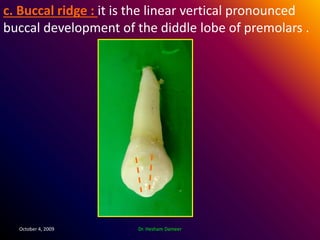 Anatomical landmarks of the crown | PPTX