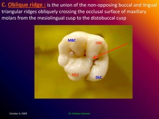 Anatomical landmarks of the crown | PPTX
