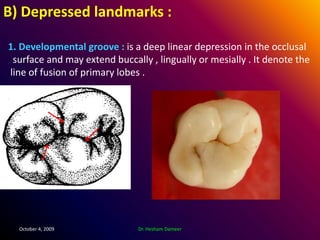 Anatomical landmarks of the crown | PPTX