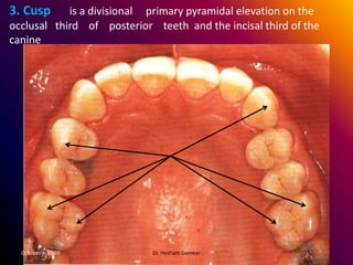 Anatomical landmarks of the crown | PPTX