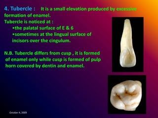 Anatomical landmarks of the crown | PPTX