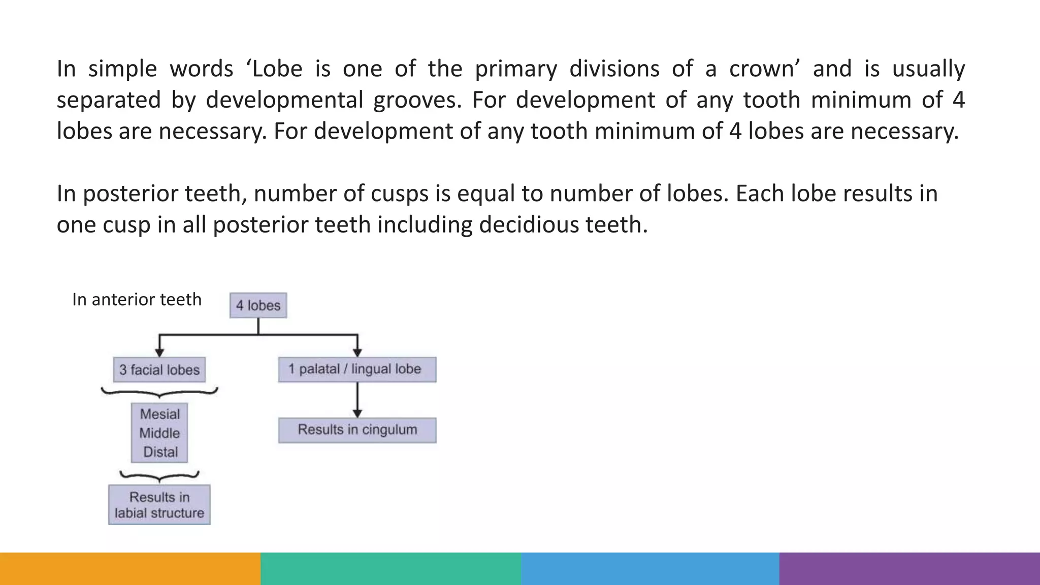 Anatomical Landmarks of tooth.pptx